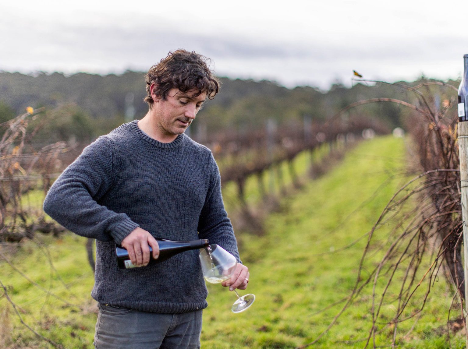 Express Winemakers | Liquid Library