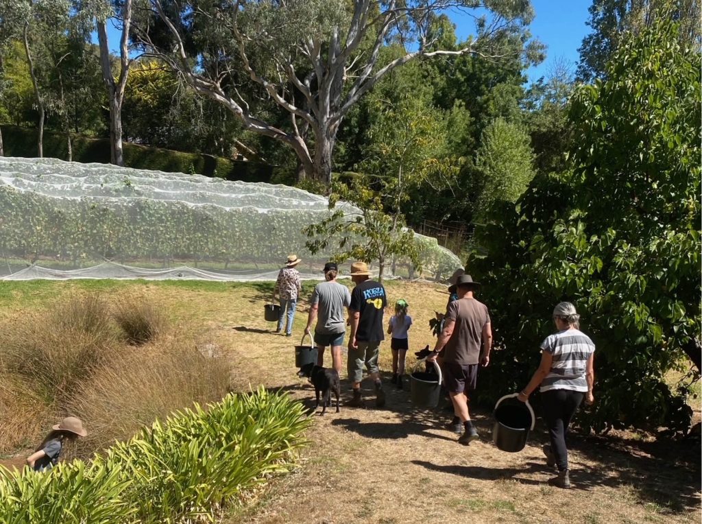 Ochota Barrels | Liquid Library