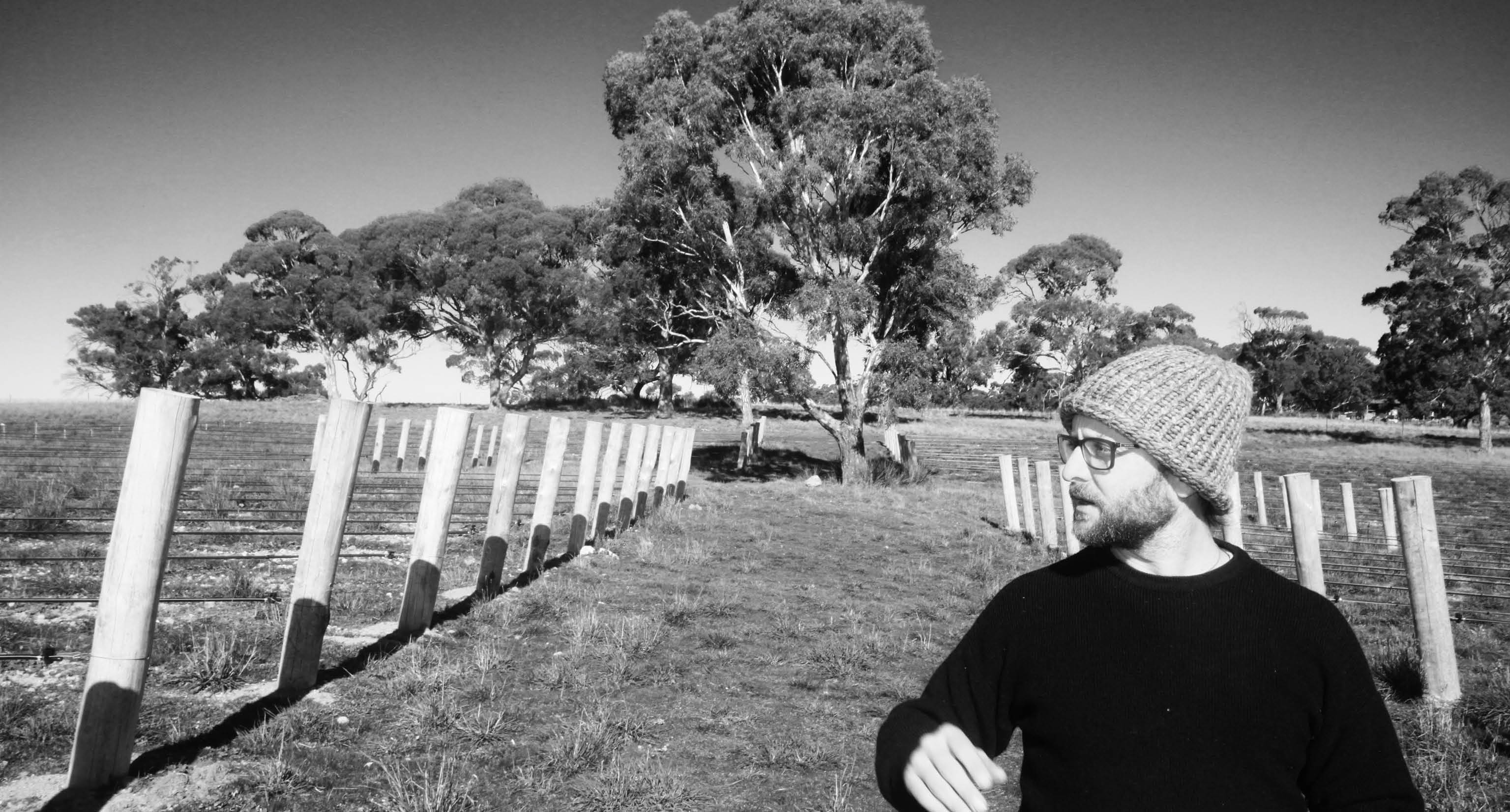 Liquid Library | independent boutique wine and craft spirits wholesaler ...