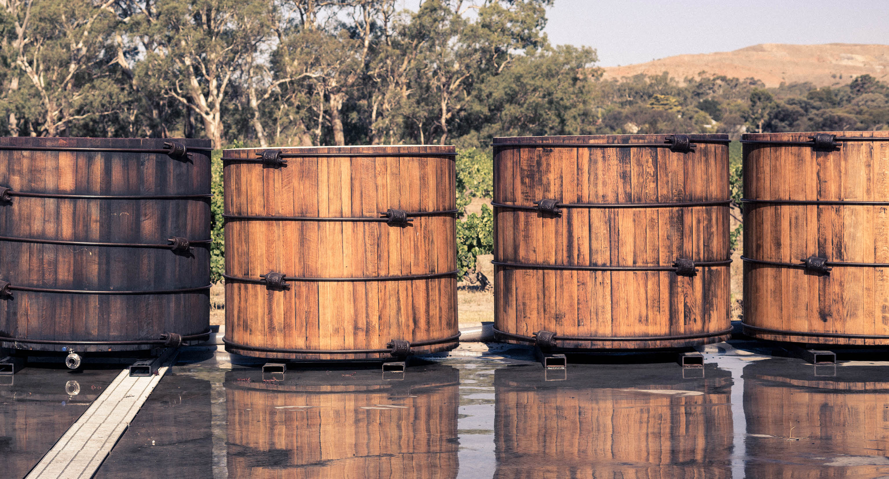 Liquid Library | independent boutique wine and craft spirits wholesaler ...