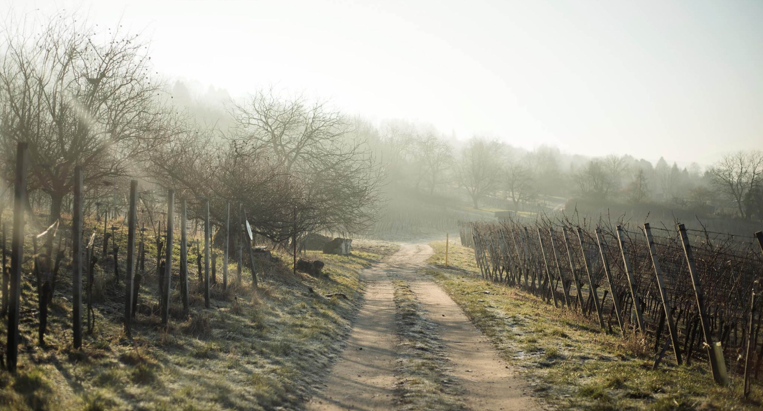 Liquid Library | independent boutique wine and craft spirits wholesaler ...