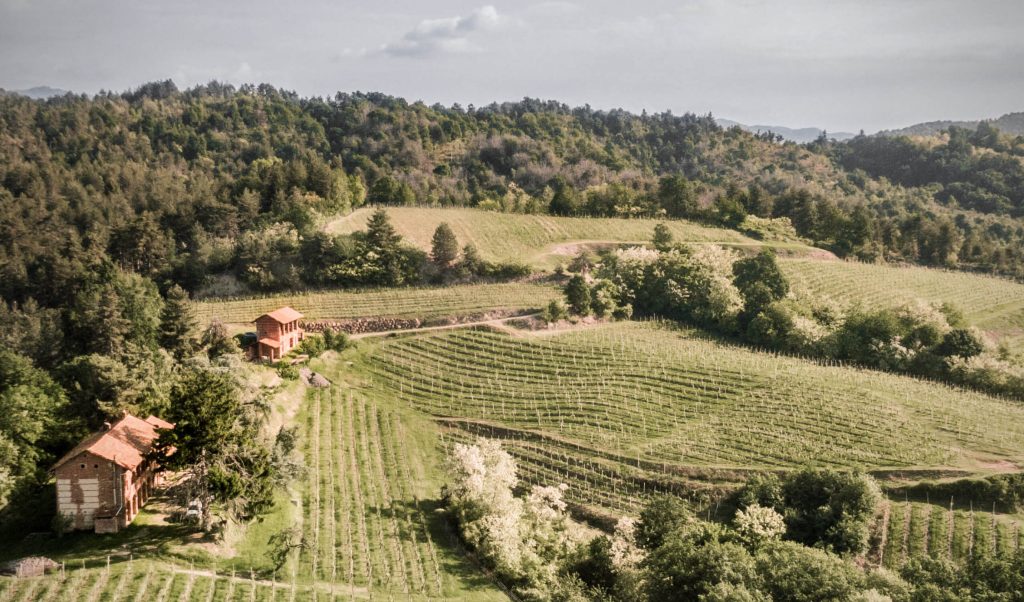 TENUTE SELLA | Liquid Library